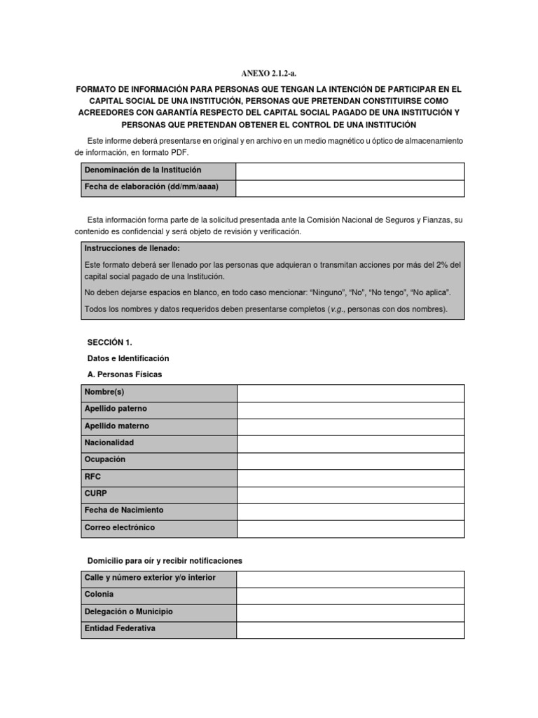 Formato para Inversores en Capital Social | PDF
