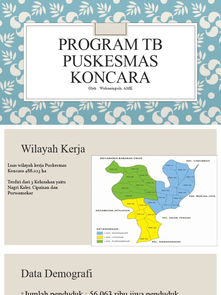 Program TB Puskesmas Koncara WORKSHOP | PDF