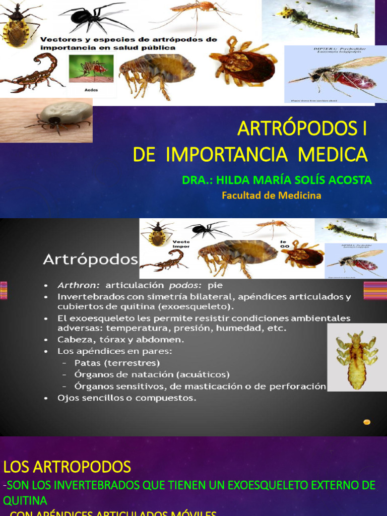 Artrópodos de Importancia Médica | PDF | Ciencia y matemáticas | Libros ...