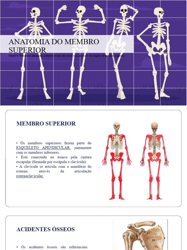 Acidentes ósseos Mmss Pdf