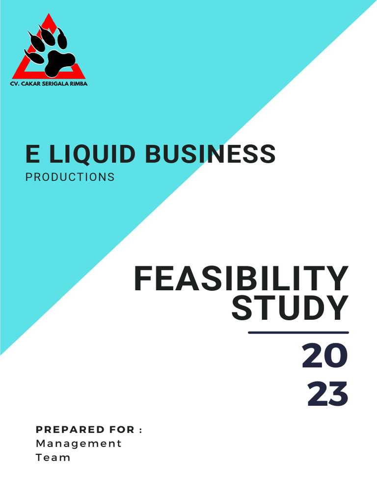 Feasibility Study | PDF