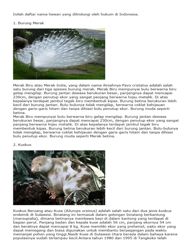 Hewan Langka 2 | PDF