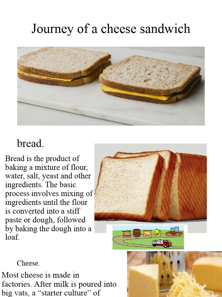 Journey of a Cheese Sandwich | PDF