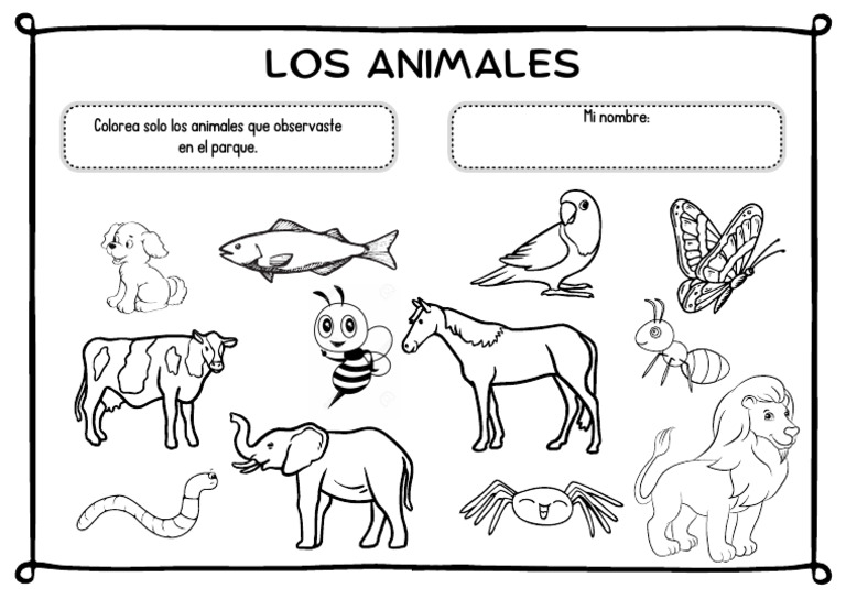 Hoja de Aplicación - Los Animales | PDF