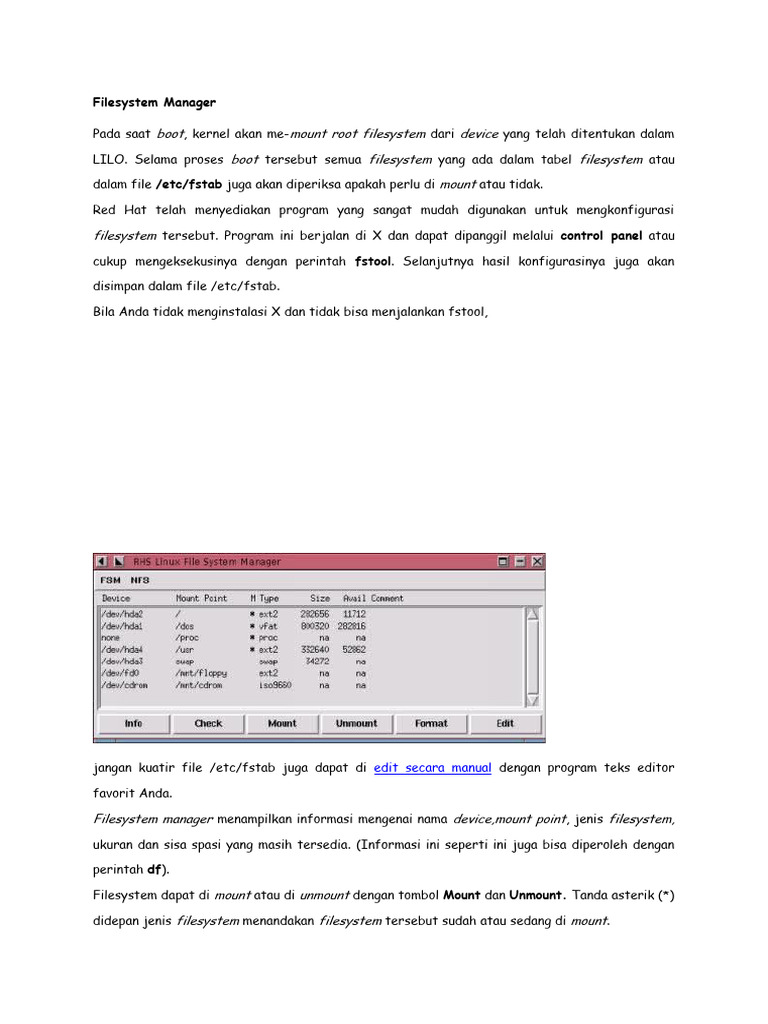 File System Manager | PDF