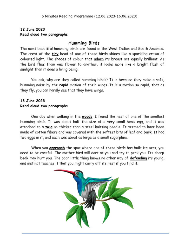 Week 4 - Hummingbirds | PDF