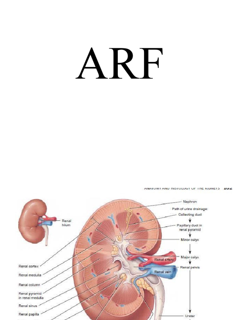Acute Renal Failure - ARF | PDF