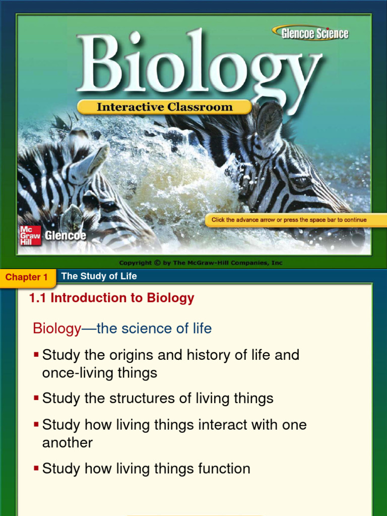 Bio101 Biointro | PDF