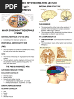 Brain Parts & Mnemonics Guide | PDF | Cerebral Hemisphere | Cerebral Cortex
