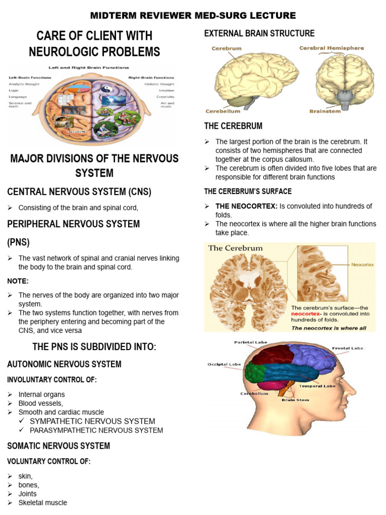 Midterm Reviewer Med Surg Lec | PDF