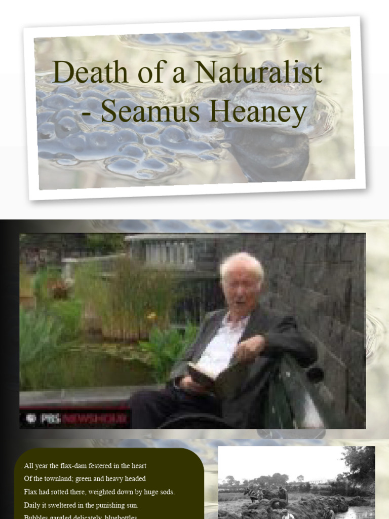 Death of a Naturalist Lesson | PDF