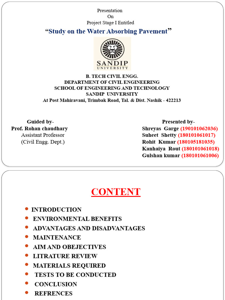 Project Stage-1 Final ppt | PDF