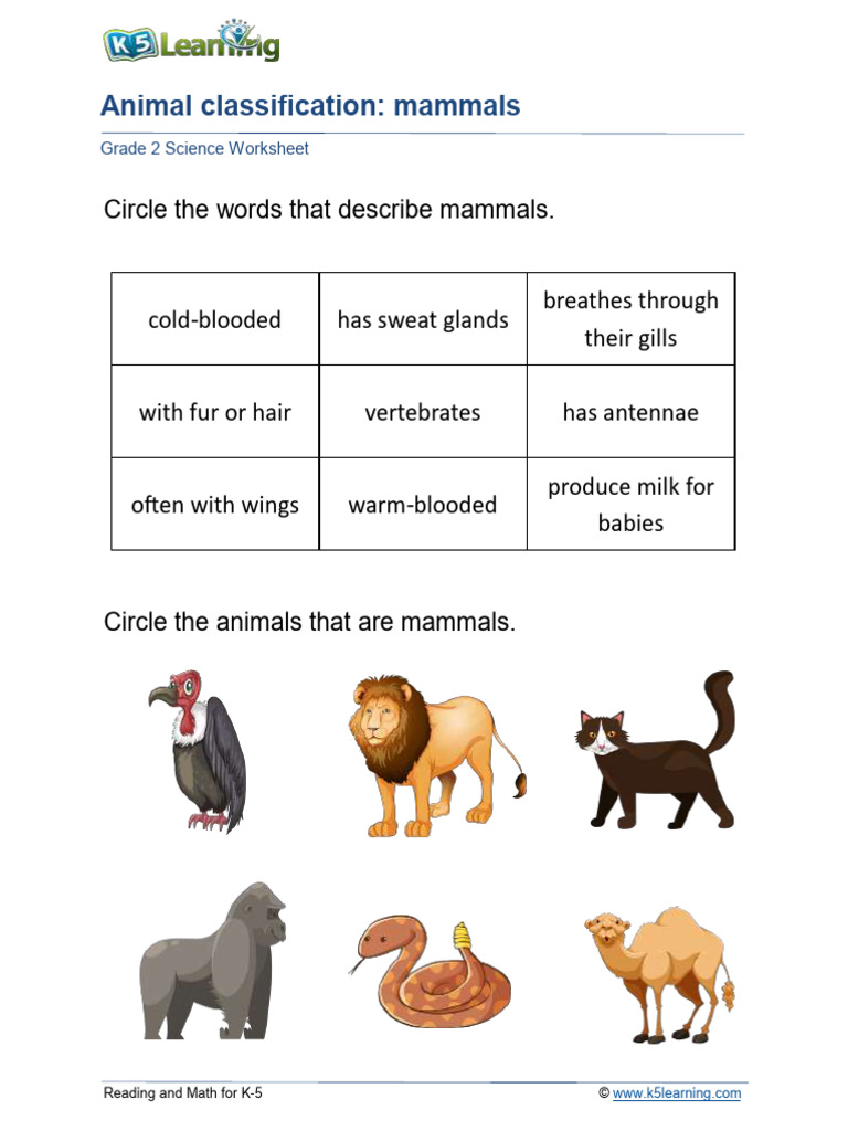 Mammals | PDF