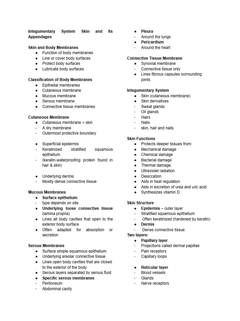 Integumentary System Overview | PDF