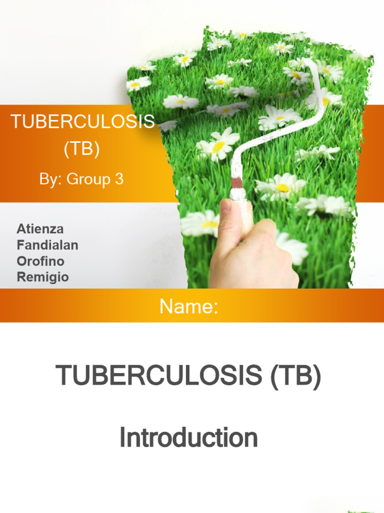 TUBERCULOSIS Presentation | PDF