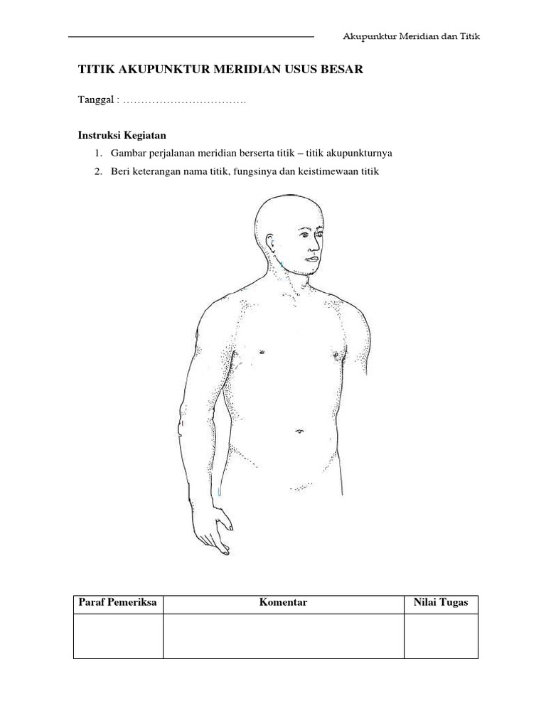 Meridian Usus Besar | PDF