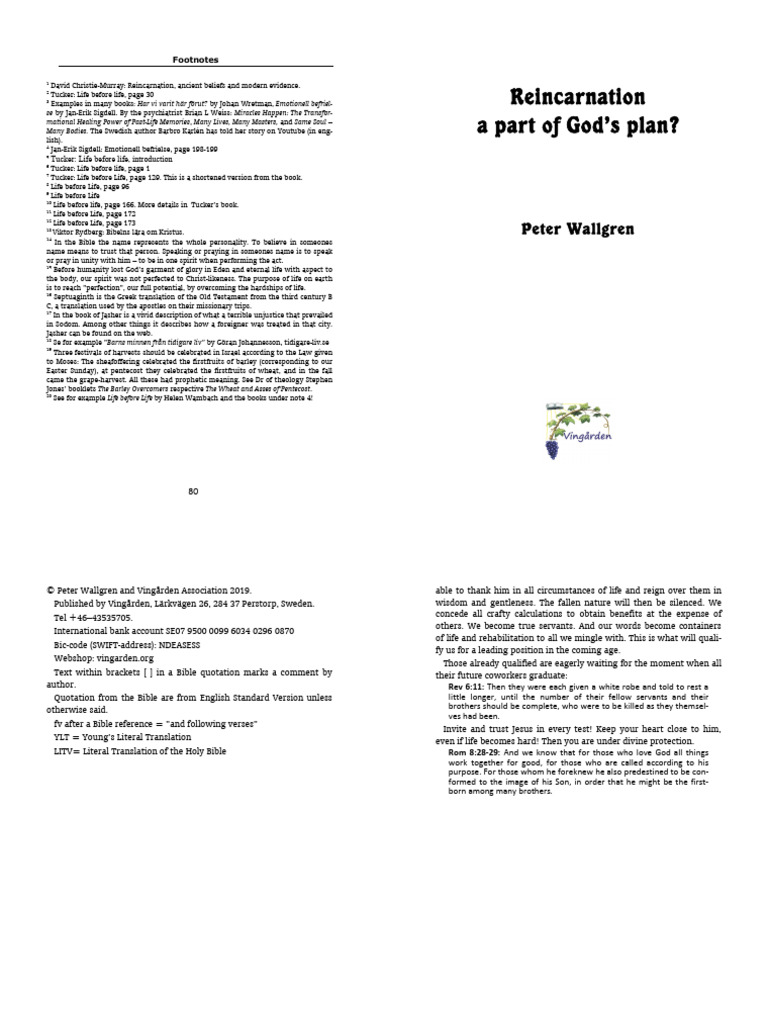 Reincarnation in the Bible | PDF