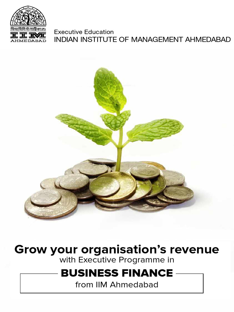 Business Finance - Brochure | PDF