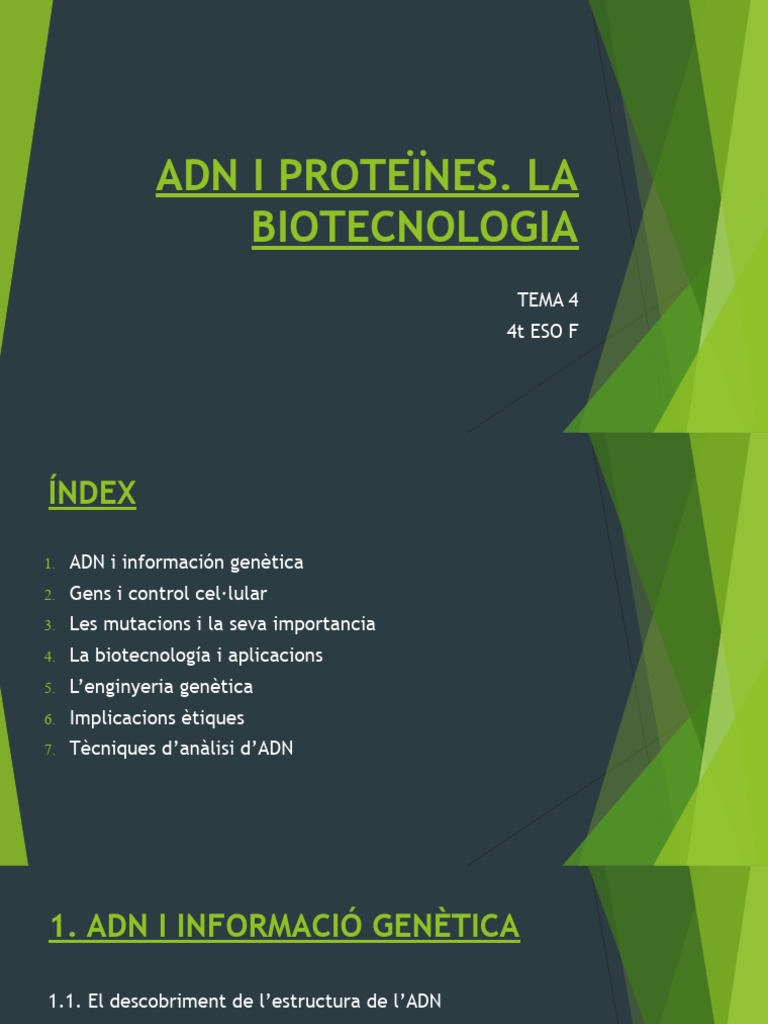 ADN I PROTEÏNES | PDF
