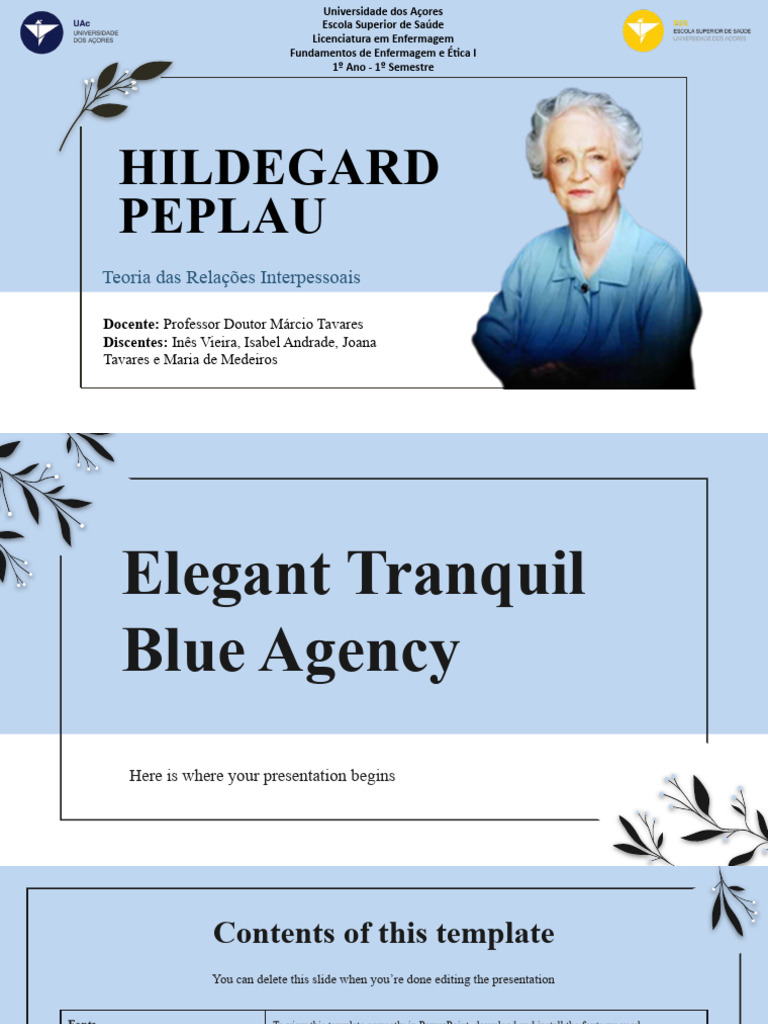 Hildegard Peplau: Interpersonal Theory | PDF