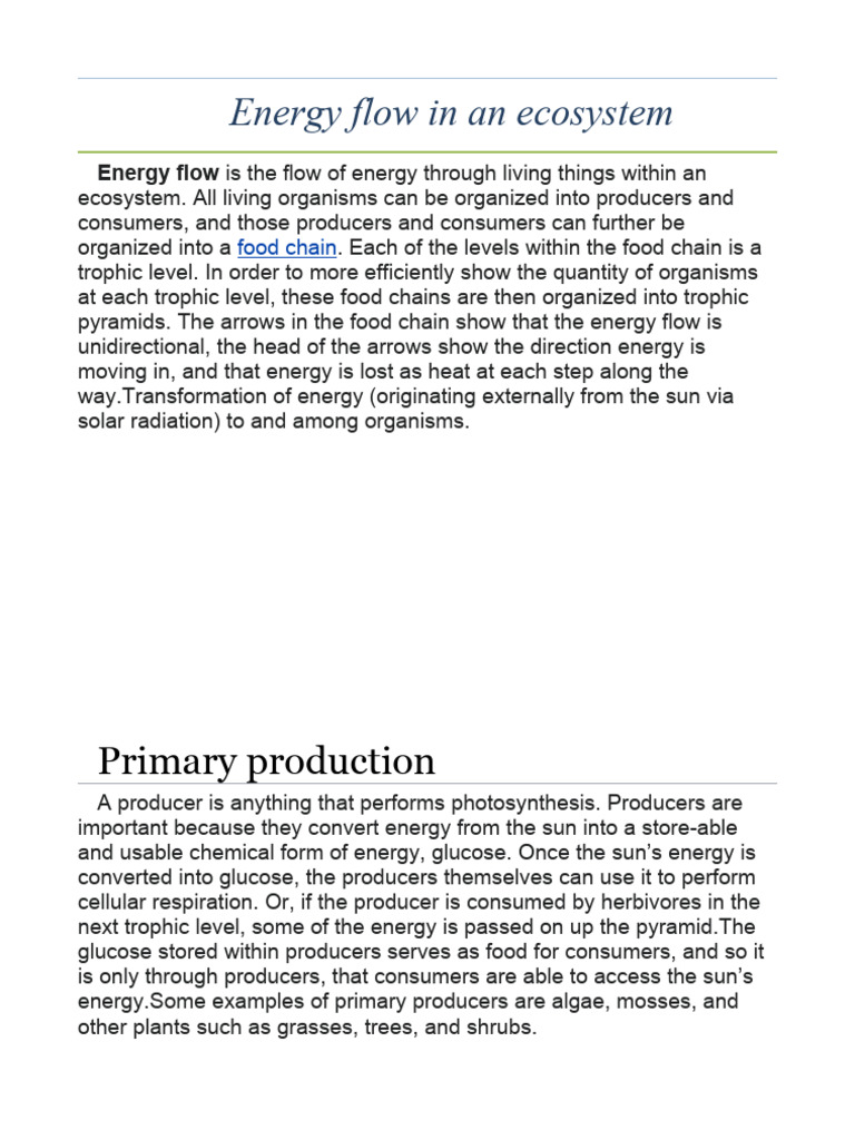 Energy Flow in An Ecosystem | PDF | Wellness | Science & Mathematics