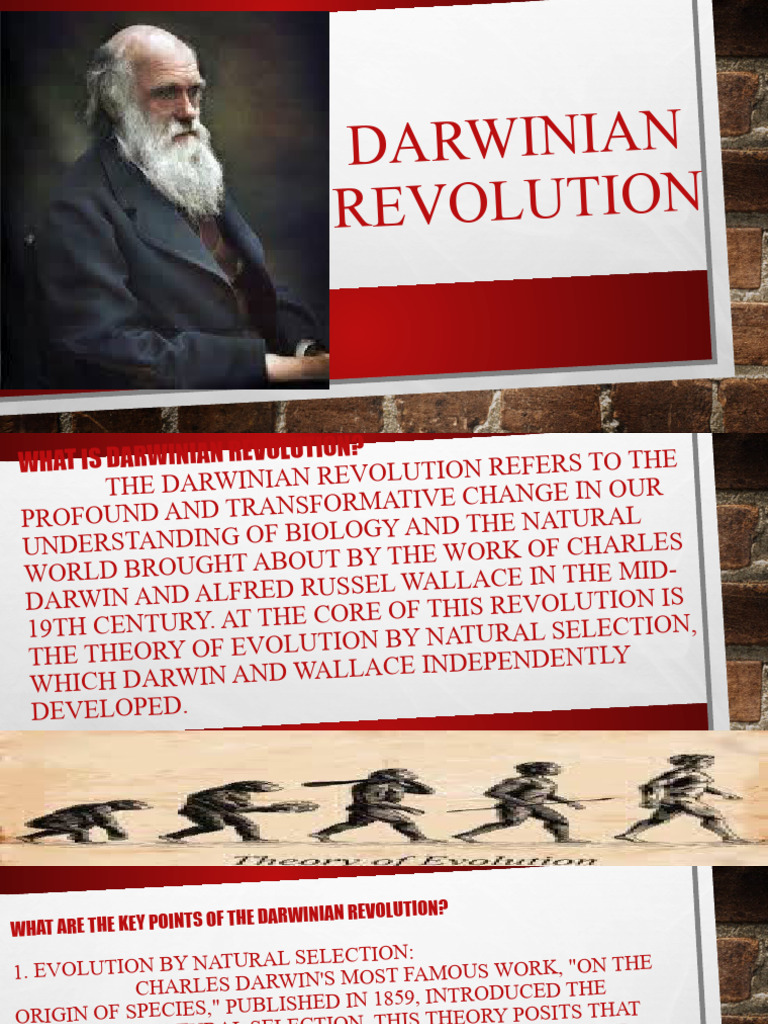 Darwinian Revolution | PDF
