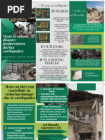 Earthquake Preparedness Guide | PDF