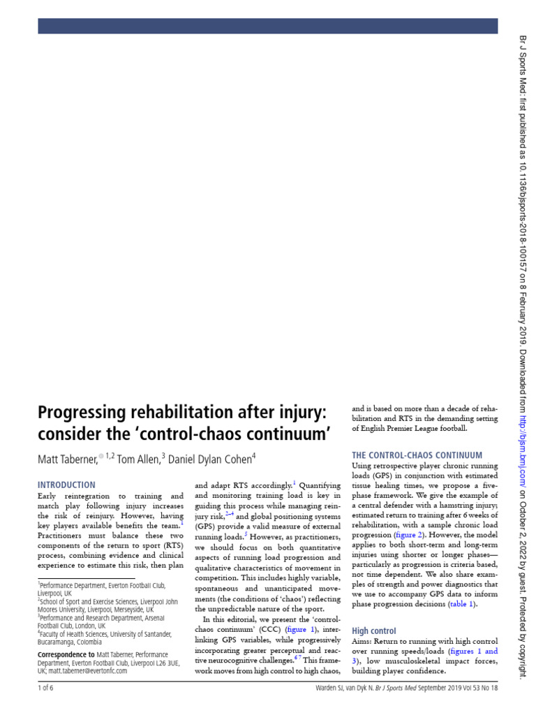 2019 - Taberner - Progressing Rehabilitation After Injury - Consider ...