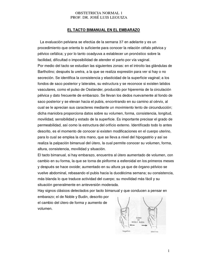 El tacto bimanual en el embarazo Prof Leguiza (1) | PDF