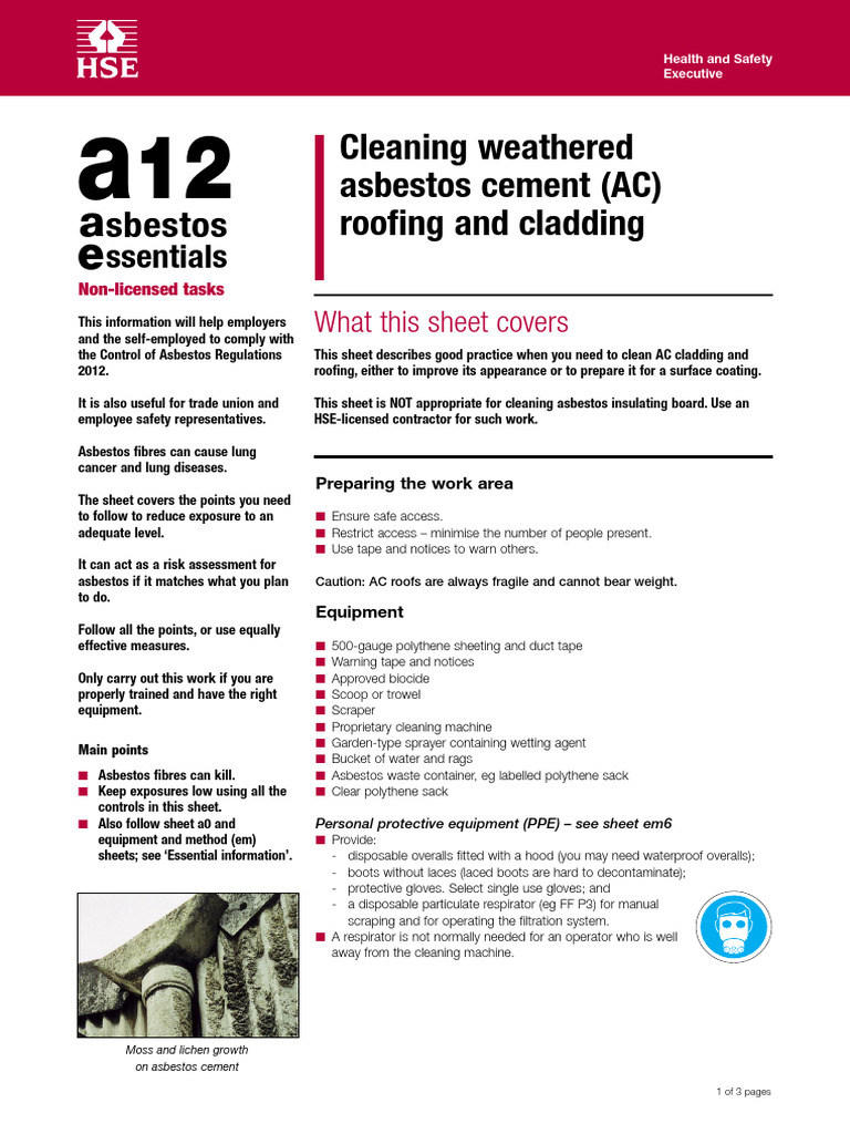 Cleaning Weathered Asbestos Cement (AC) Roofing and Cladding Sbestos ...