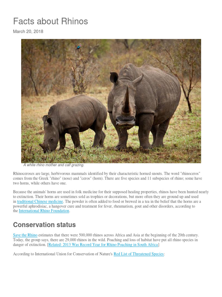 [PROJECT] RHINO - Facts about Rhinos _Live Science | PDF