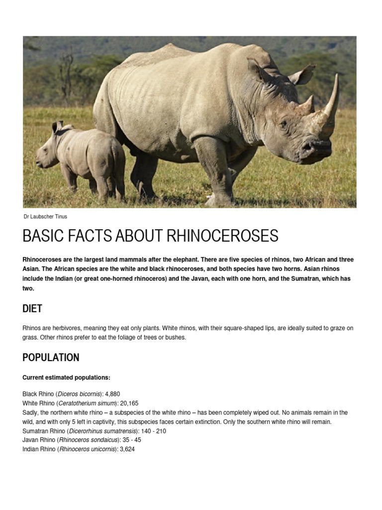 (PROJECT) RHINO - Basic Facts About Rhinoceroses - Defenders of ...
