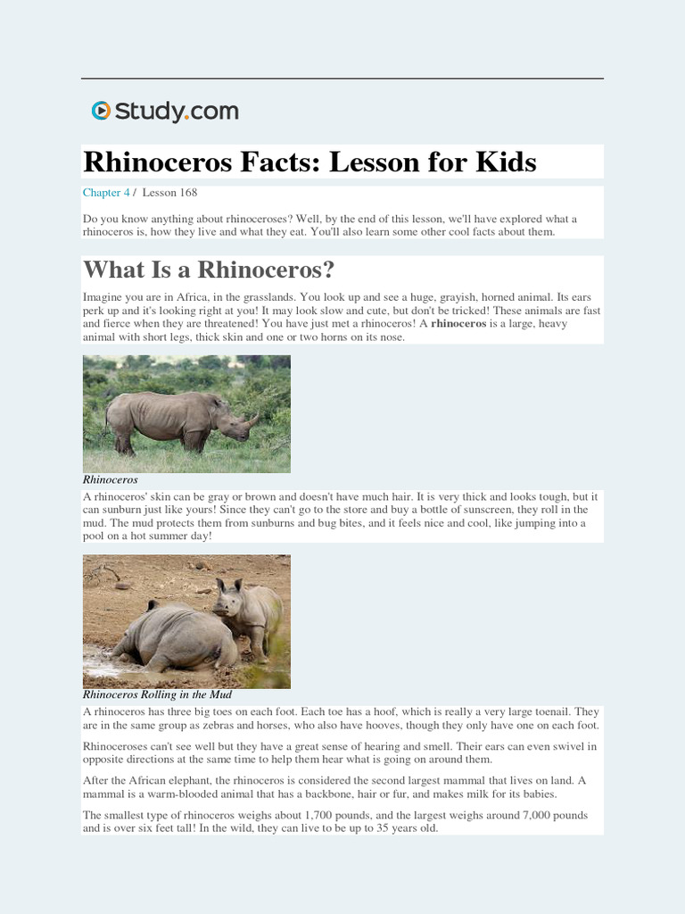 (PROJECT) RHINO - Rhinoceros Facts For Kids - Study | PDF | Rhinoceros | Plants