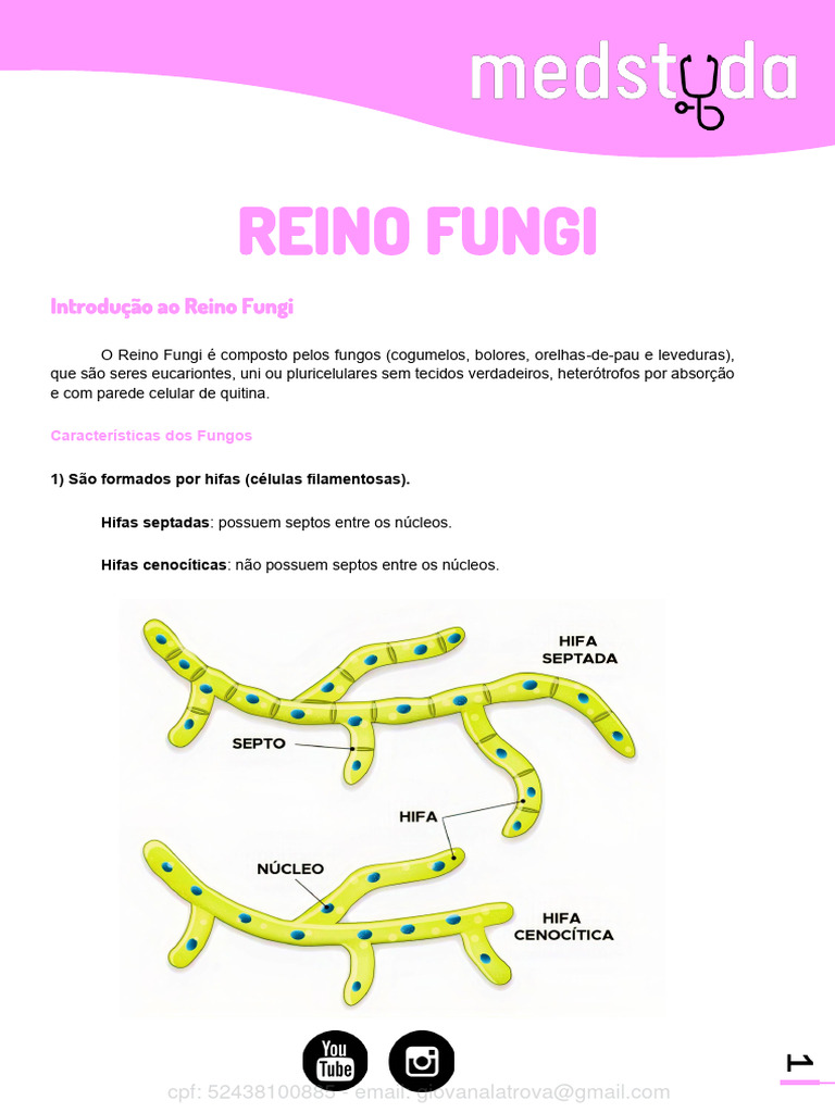 Reino Fungi - Apostila de Conteúdos | PDF