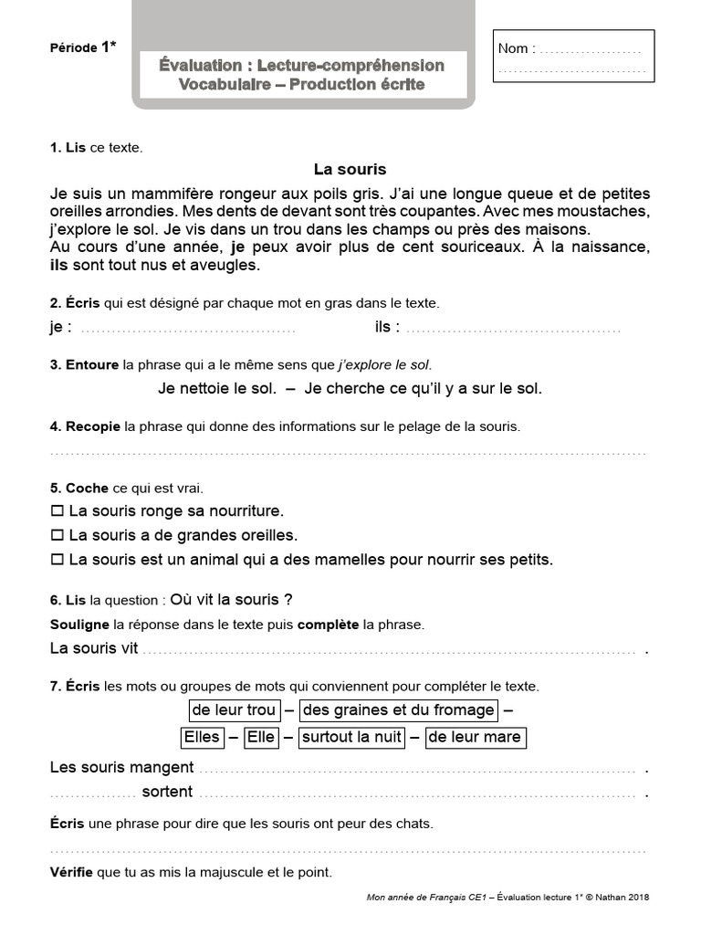 Fiches Evaluations P1 Non Modifiables | PDF