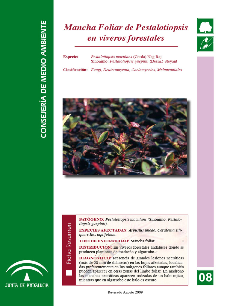 Mancha Foliar por Pestalotiopsis en Viveros | PDF | Hongo | Hoja