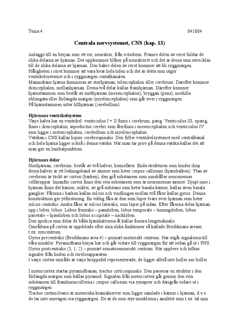 Anatomi Tema 4 - CNS, PNS Och ANS | PDF