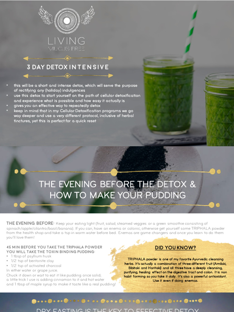 3 Day Detox Intensive | PDF | Detoxification (Alternative Medicine) | Coriander