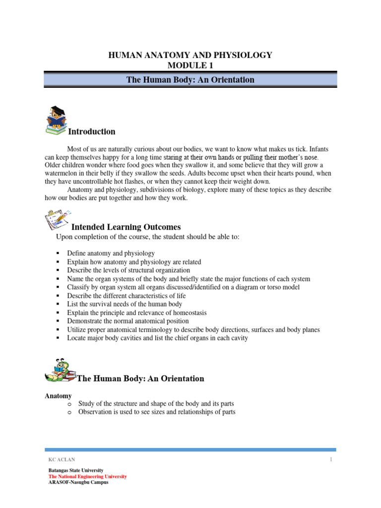Module 1 The Human Body - An Orientation | PDF