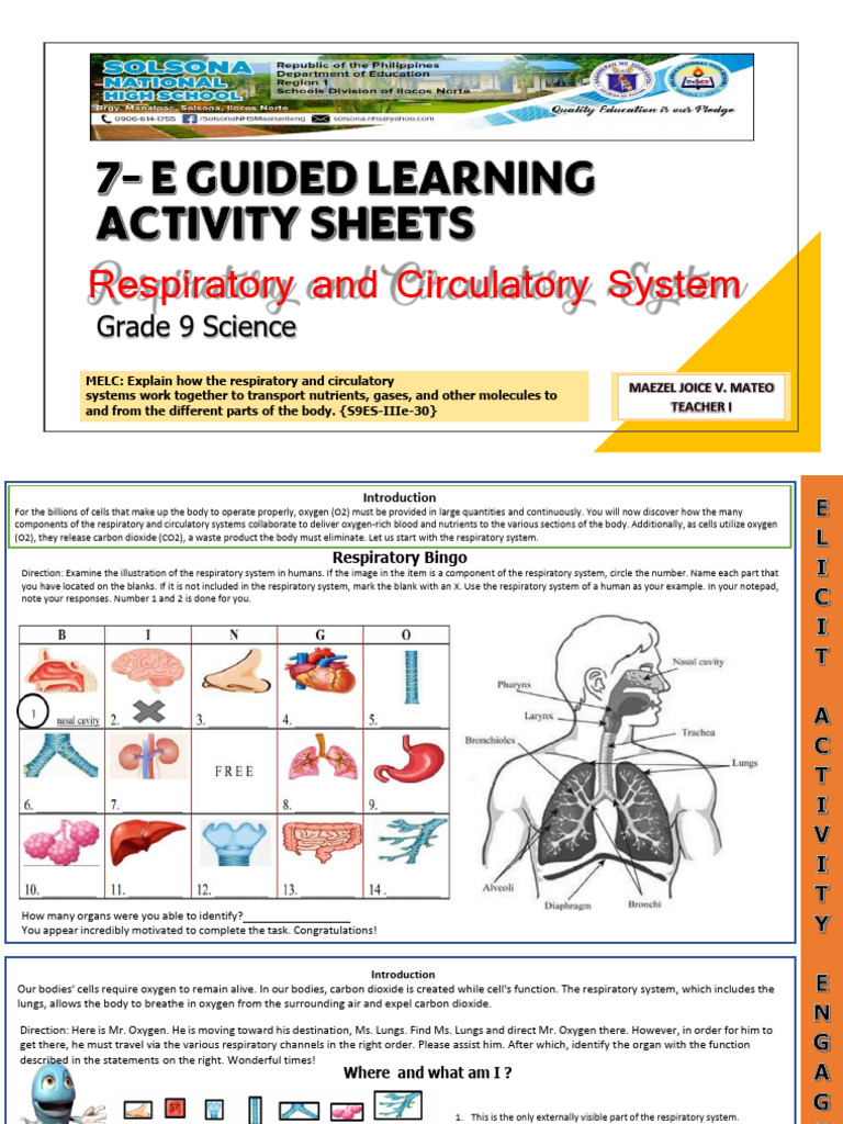 1.7 e Learning Activity Sheet | PDF