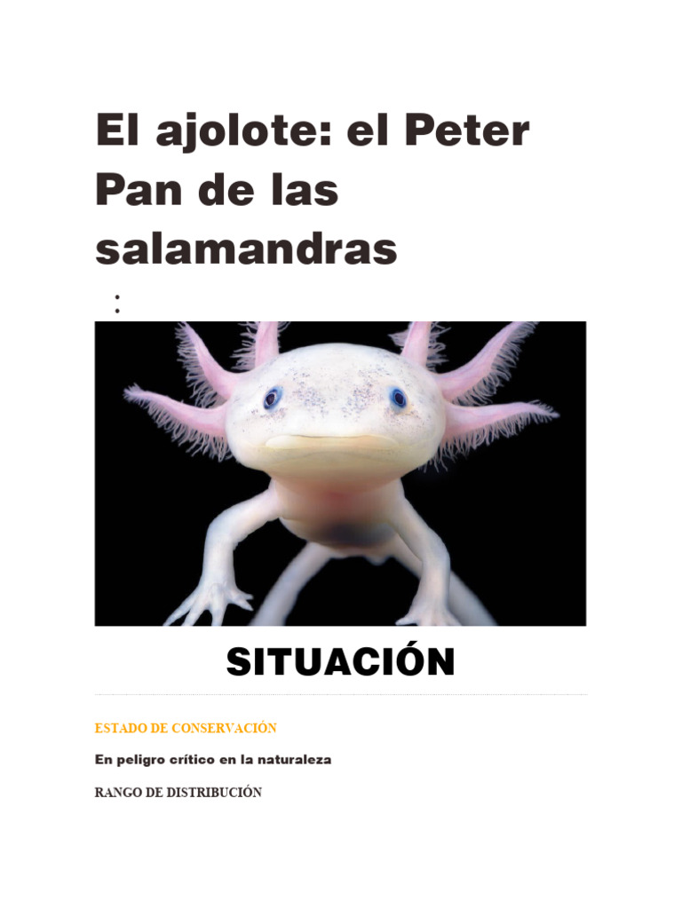 El Ajolote | PDF