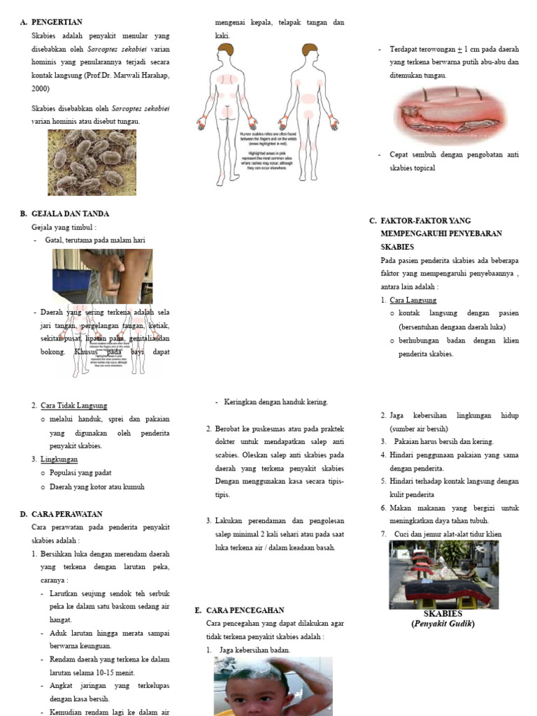 Leaflet Scabies | PDF