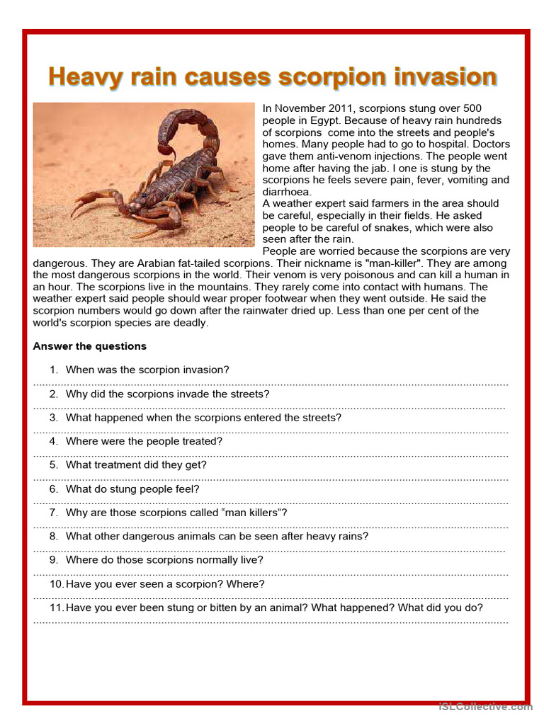 Heavy Rain Causes Scorpion Invasion | PDF