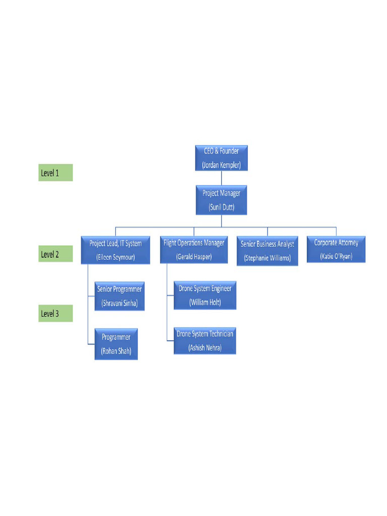 PROJECT ORGANIZATION CHART FOR Drone Tech | PDF