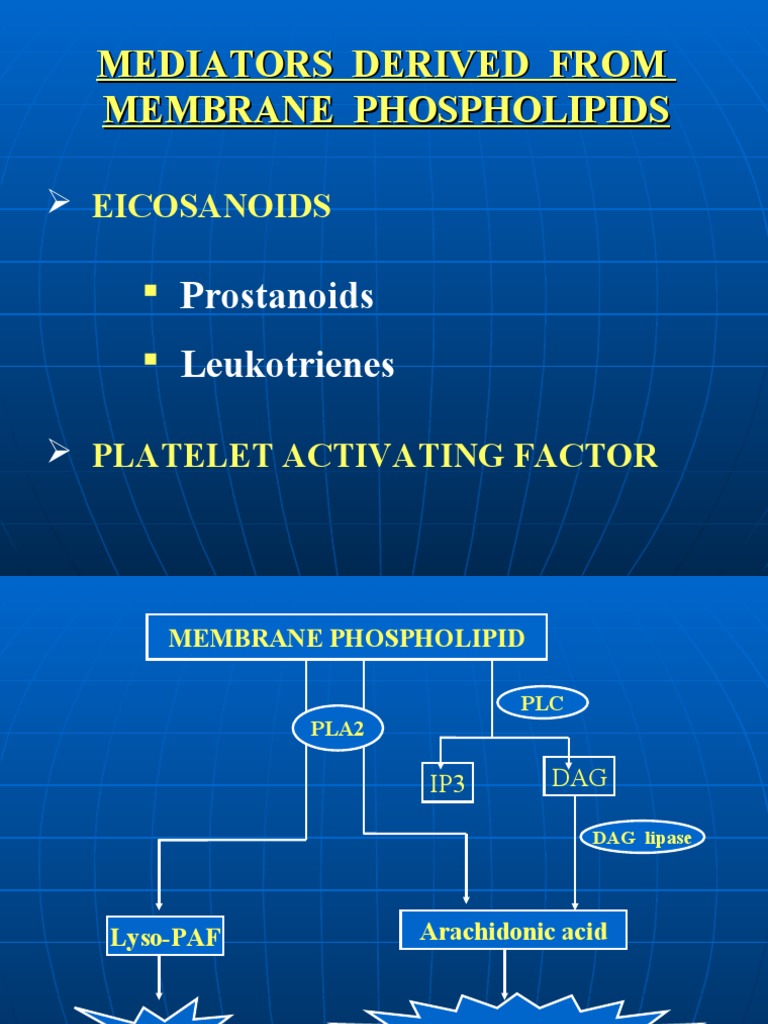Lecture 23 - Eicosanoids | Organic Compounds | Biomolecules
