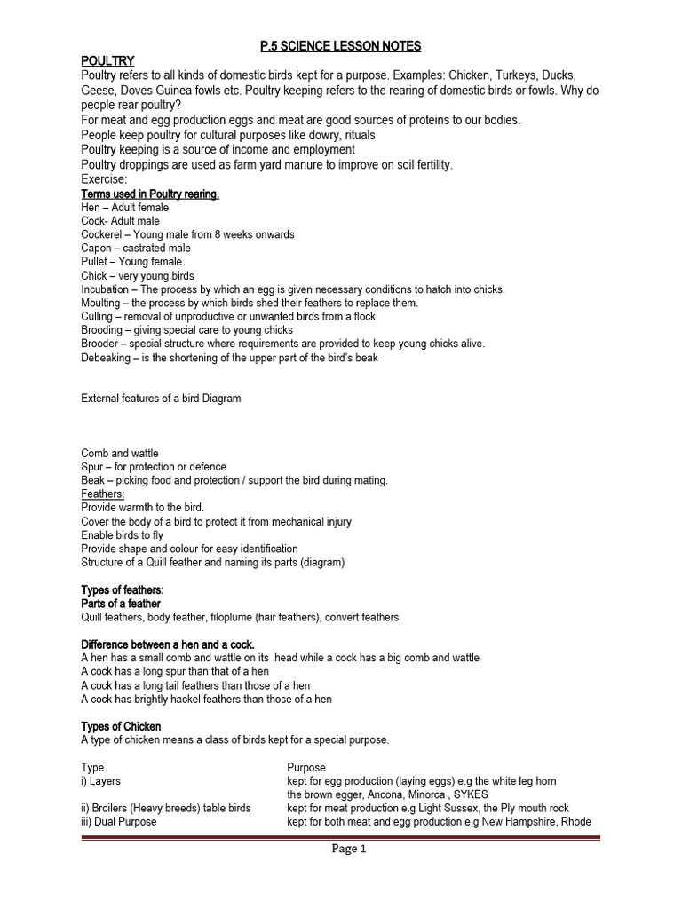 P.5 Primary Five Sci Notes - Teacher - Ac | PDF