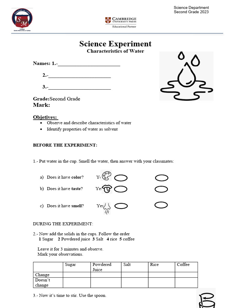 Science Experiment | PDF