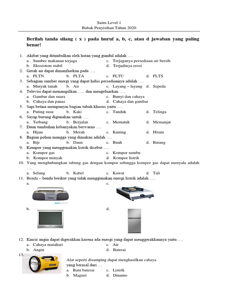 Sains Level 1 KMSI | PDF