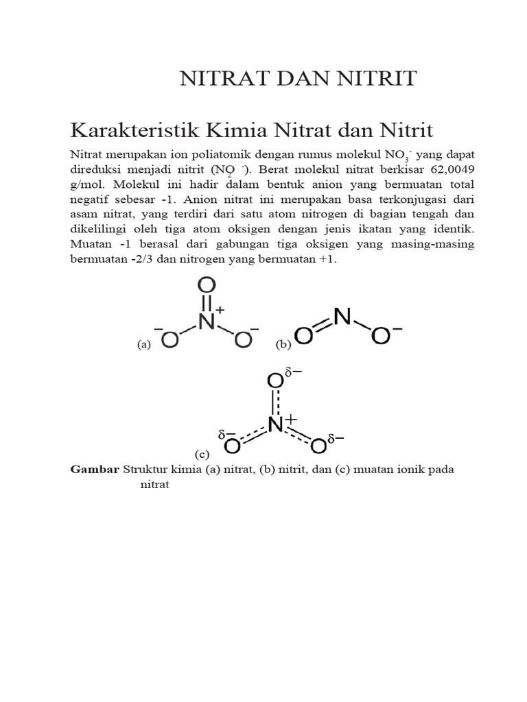 Nitrat Dan Nitrit | PDF