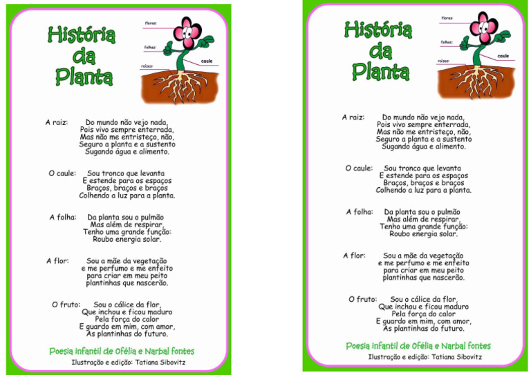 História Da Planta | PDF